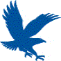 Embry-Riddle Aeronautical University: Daytona Beach Campus Tuition and ...